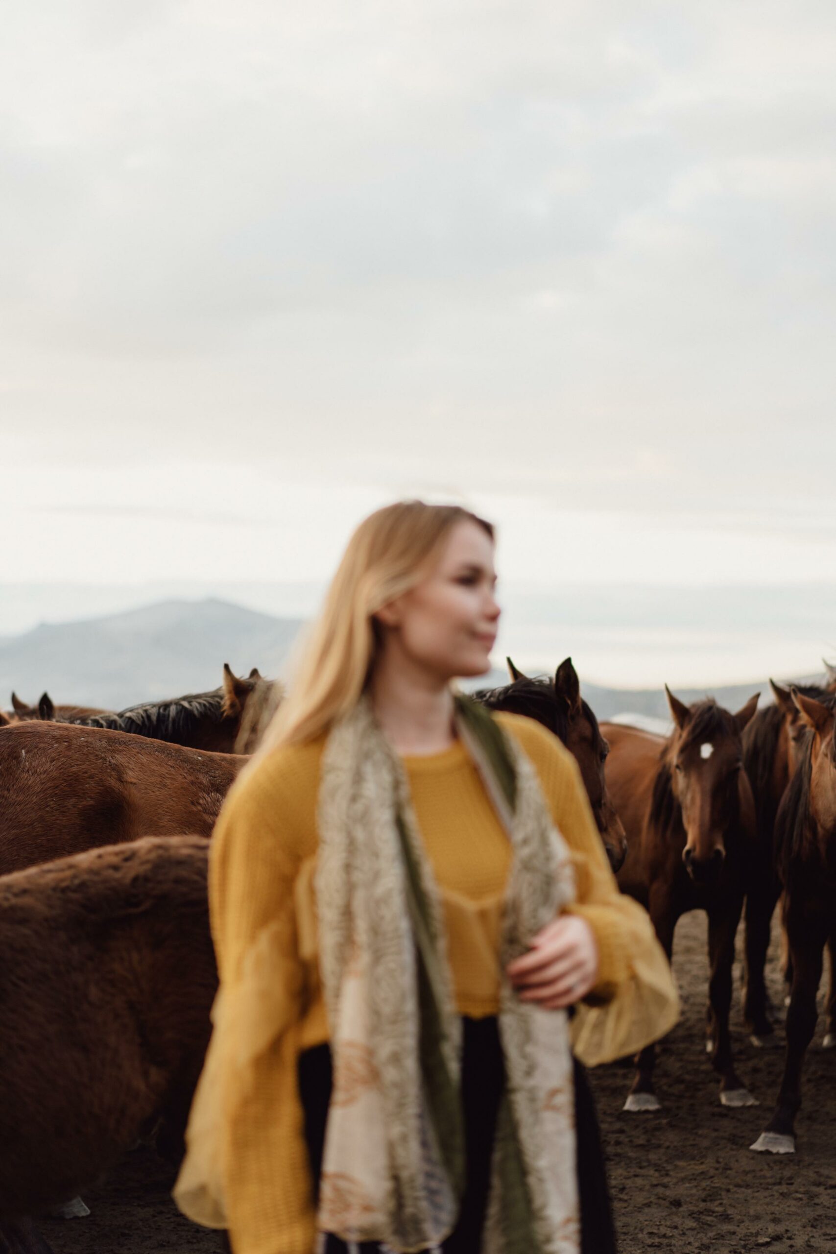 How Long Are Horse'S Intestines? - AnswerChef